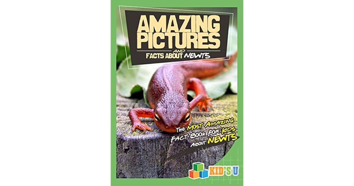 Amazing Pictures and Facts About Newts: The Most Amazing Fact Book for ...