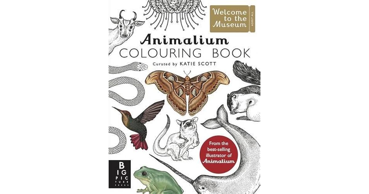 Animalium Colouring Book by Kate Baker