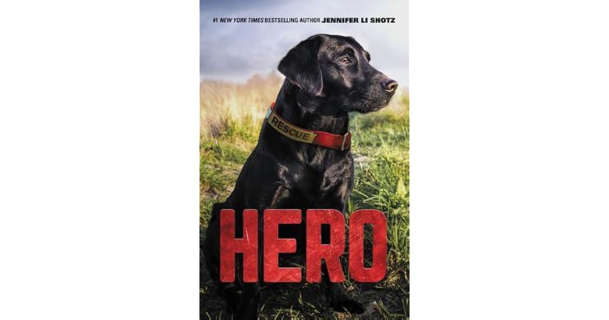 Hero (Hero, #1) by Jennifer Li Shotz