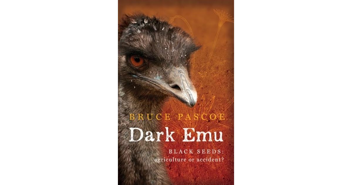 Dark Emu: Black seeds agriculture or accident? by Bruce Pascoe