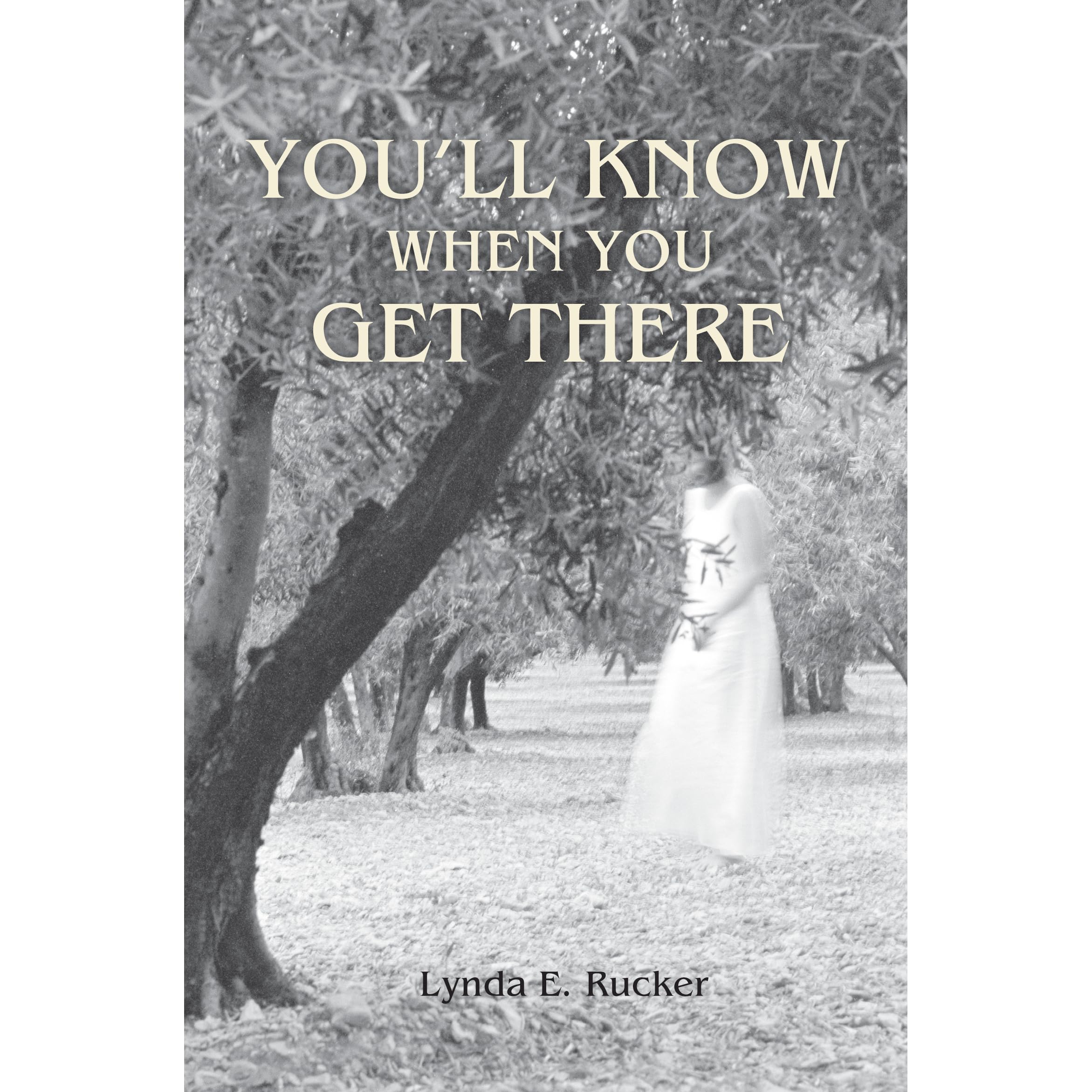 You'll Know When You Get There by Lynda E. Rucker — Reviews, Discussion ...