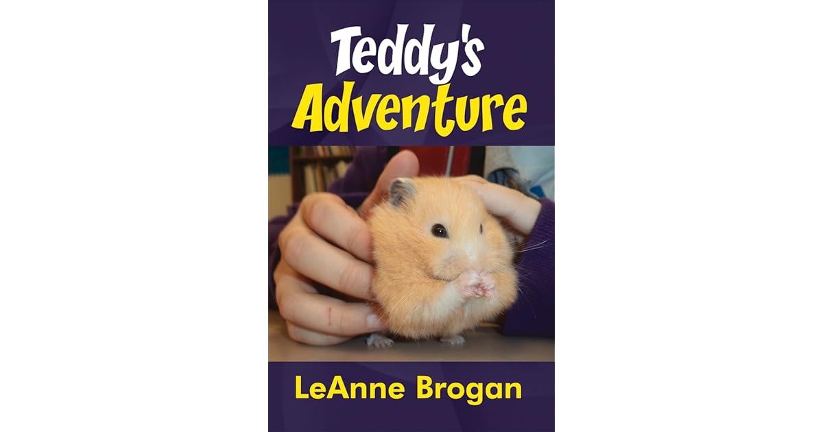 Teddy's Adventure by LeAnne Brogan