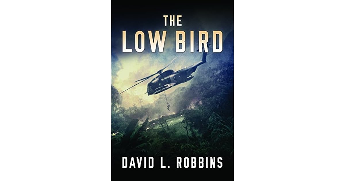 The Low Bird by David L. Robbins