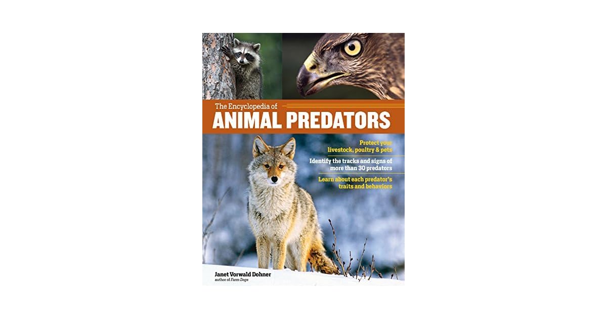 The Encyclopedia of Animal Predators: Learn about Each Predator’s ...