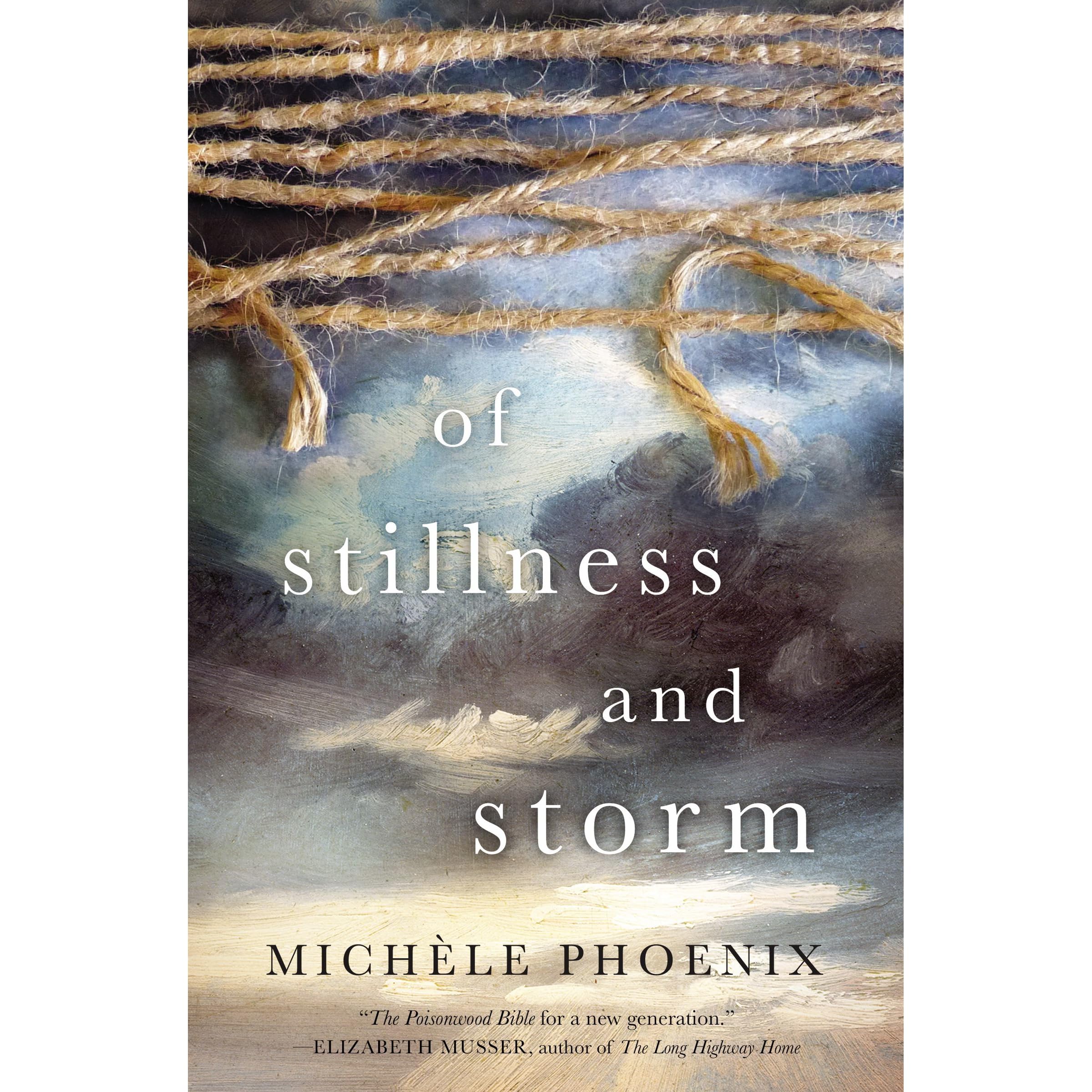 Of Stillness and Storm by Michèle Phoenix — Reviews, Discussion ...
