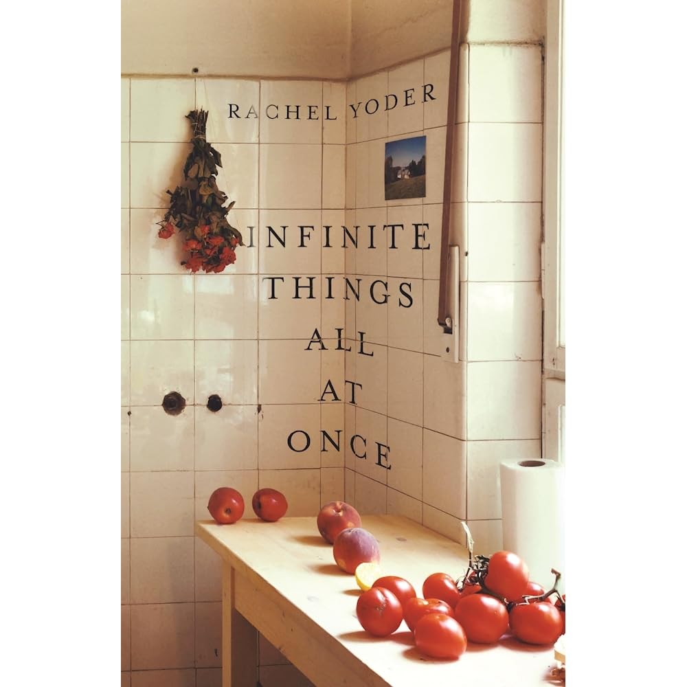 Infinite Things All At Once by Rachel Yoder — Reviews, Discussion ...
