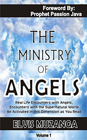 The Ministry of Angels: Real Life Encounters with Angels, Encounters ...