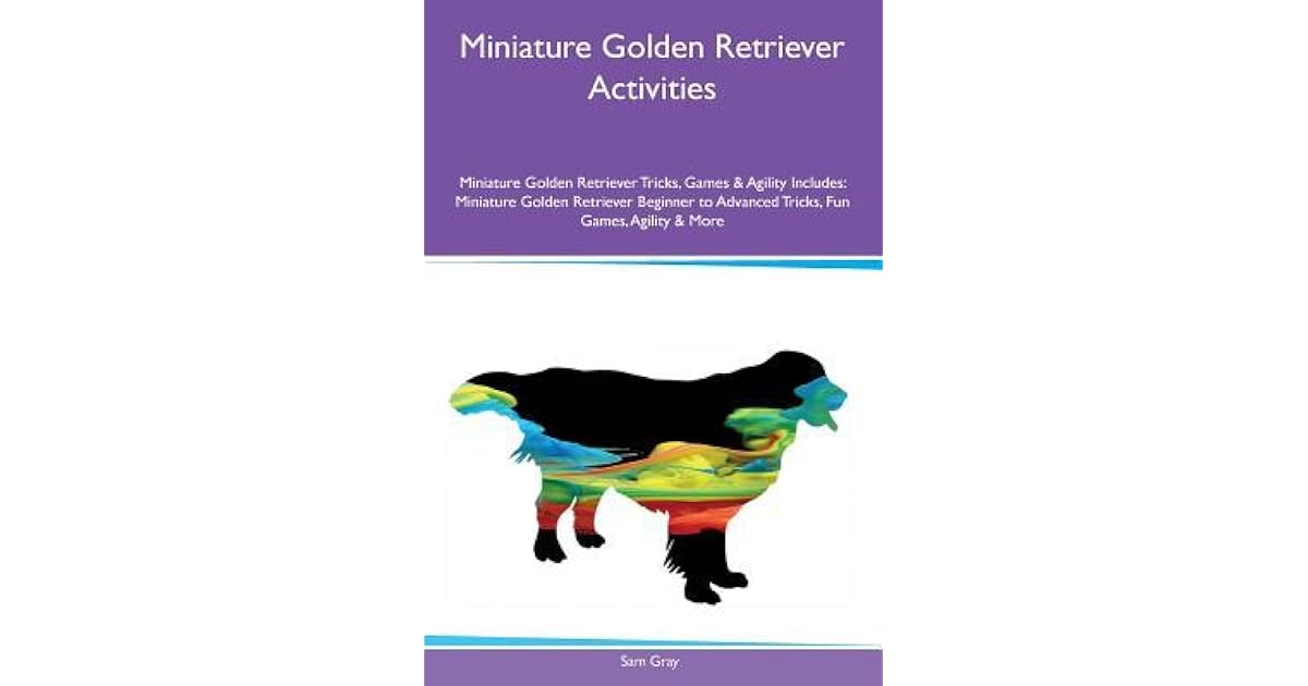 Miniature Golden Retriever Activities Miniature Golden Retriever Tricks ...