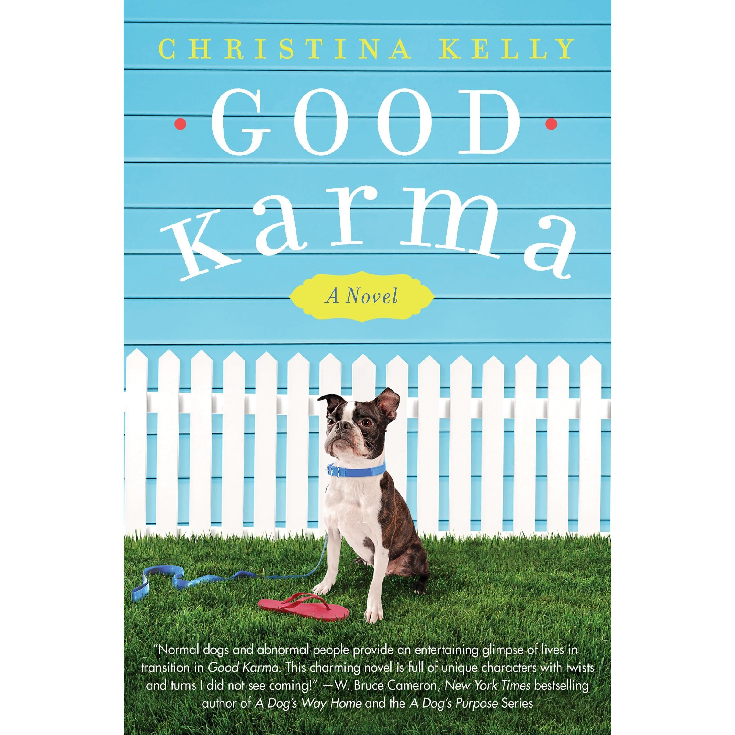 Good Karma: A Novel by Christina Kelly — Reviews, Discussion, Bookclubs ...