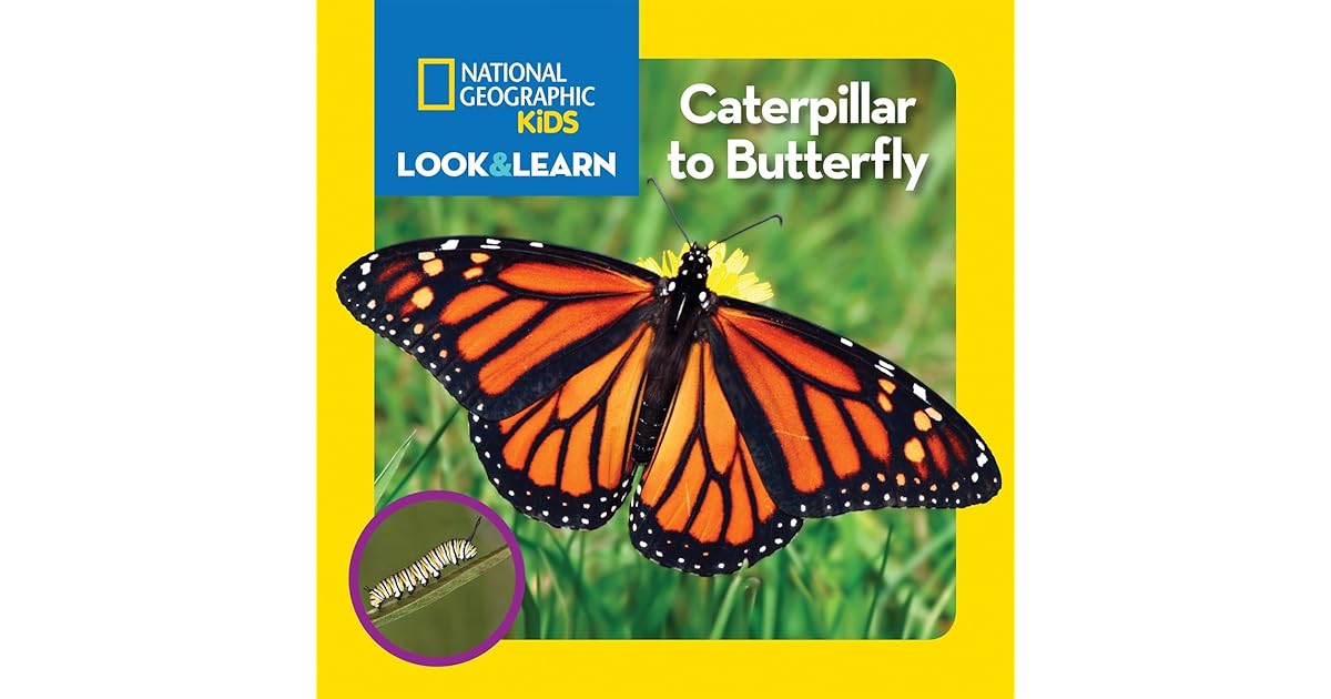 Look and Learn: Caterpillar to Butterfly by National Geographic Kids
