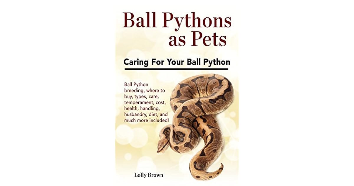 Ball Pythons as Pets: Ball Python breeding, where to buy, types, care ...