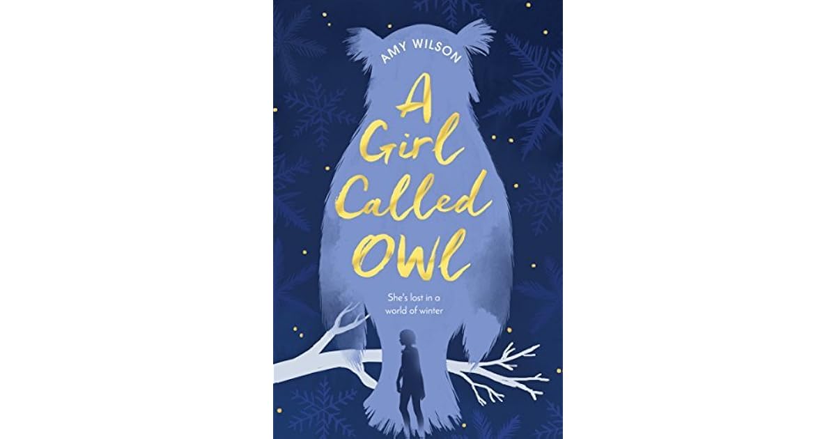 A Girl Called Owl by Amy Wilson
