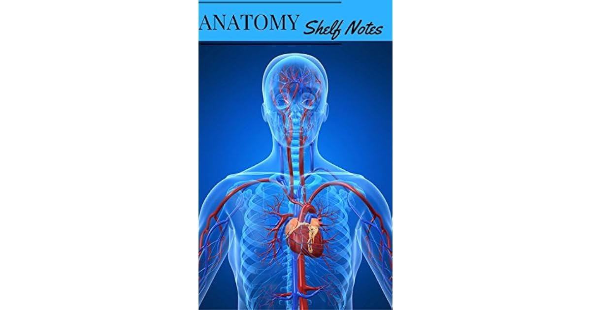 Anatomy Shelf Notes: 100 cases anatomy for usmle step 1 by Volodymyr ...