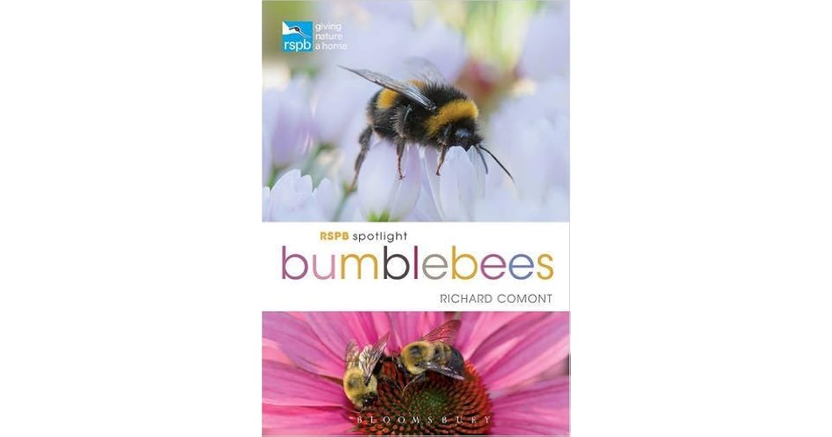 RSPB Spotlight Bumblebees by Richard Comont