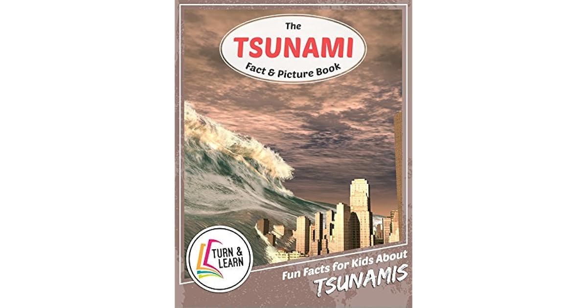 The Tsunami Fact and Picture Book: Fun Facts for Kids About Tsunamis by ...