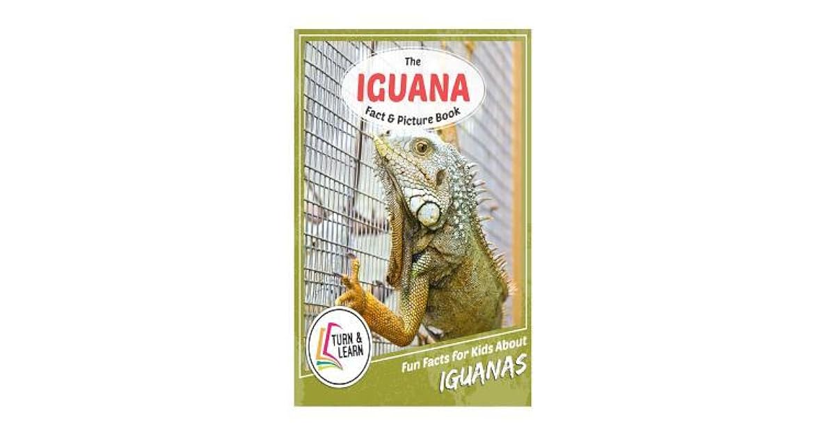The Iguana Fact and Picture Book: Fun Facts for Kids about Iguanas by ...