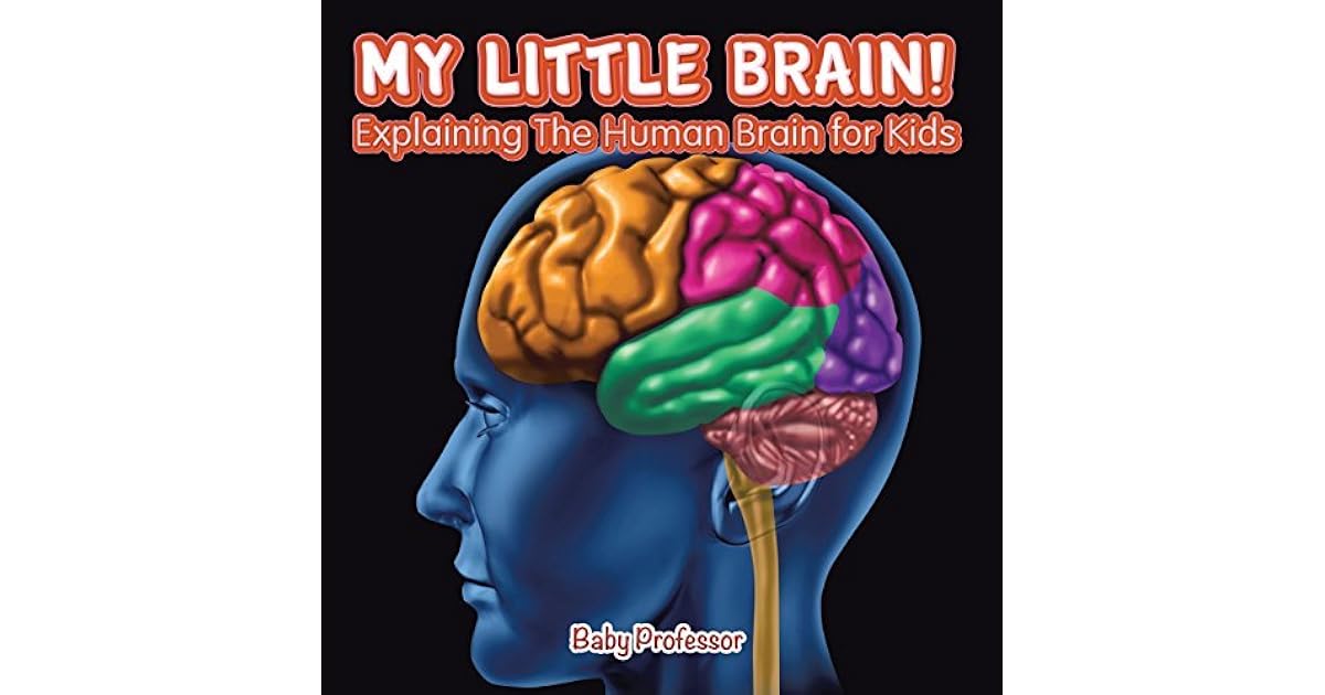 My Little Brain! - Explaining The Human Brain for Kids by Baby Professor