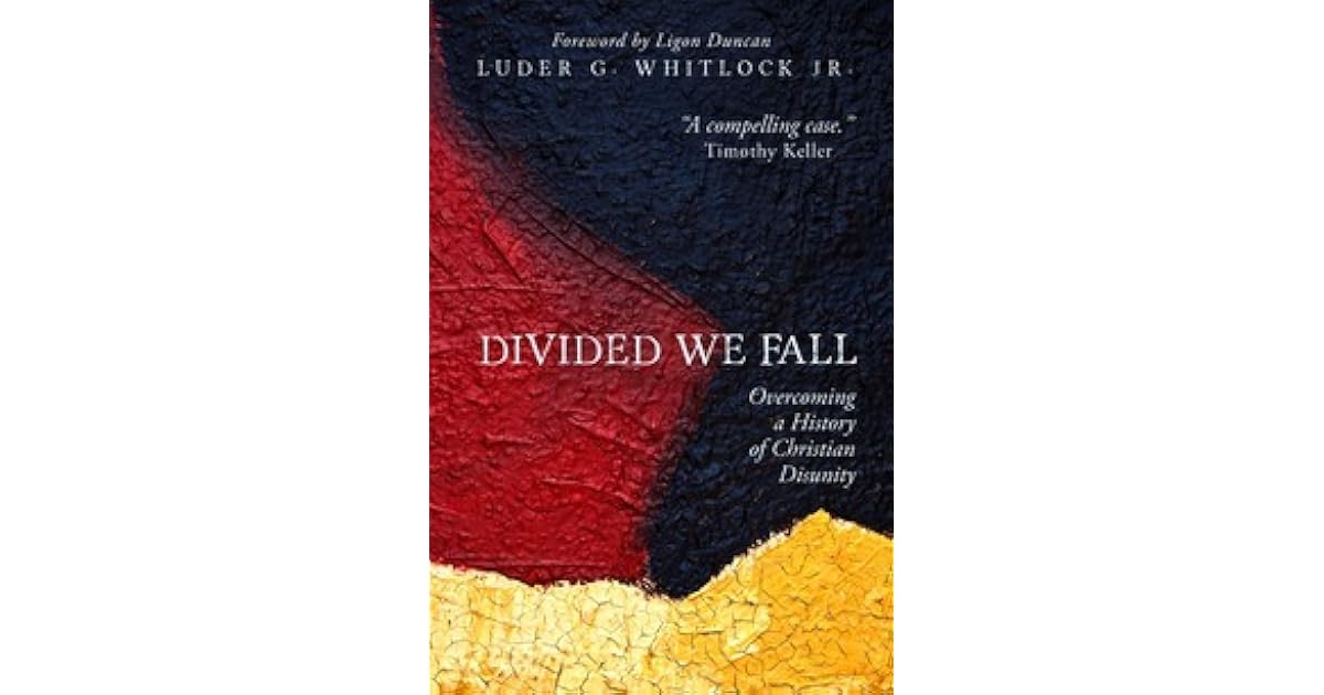 Divided We Fall: Overcoming a History of Christian Disunity by Luder G ...