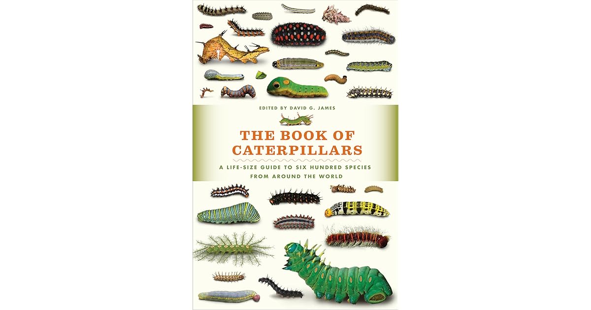 The Book of Caterpillars: A Life-Size Guide to Six Hundred Species from ...