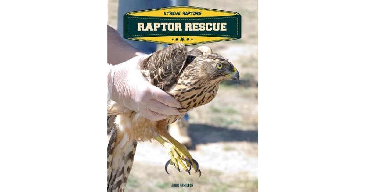 Raptor Rescue by John Hamilton