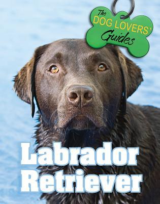 Labrador Retriever by Ann Britton