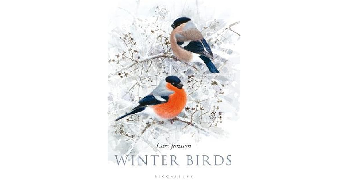 Winter Birds by Lars Jonsson