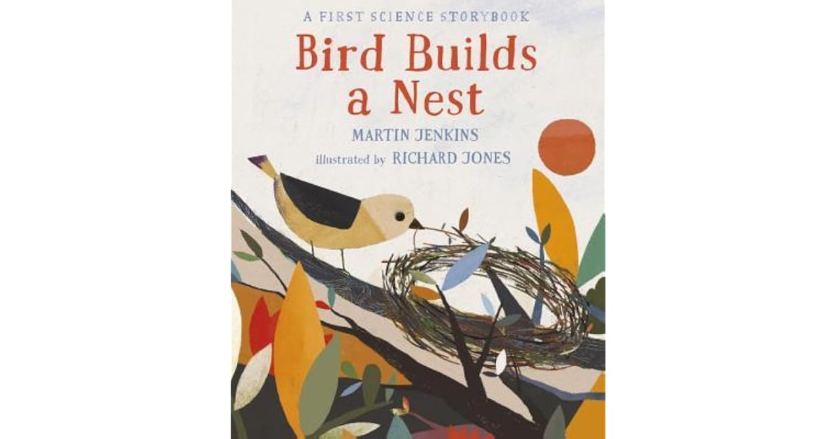 Bird Builds a Nest: A First Science Storybook by Martin Jenkins