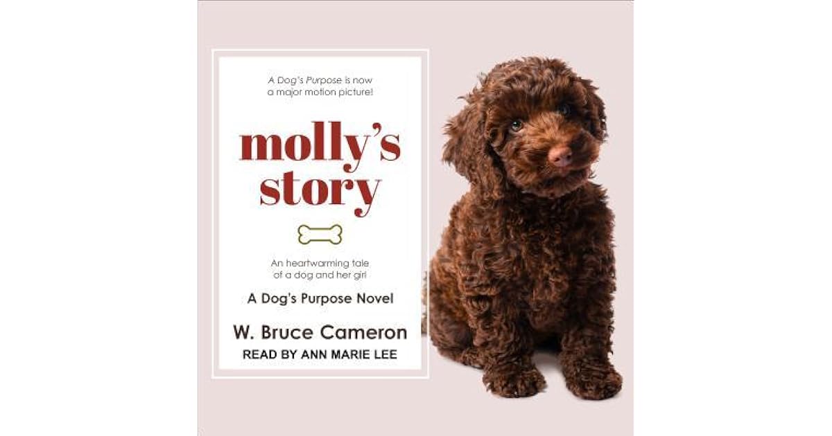 Molly's Story by W. Bruce Cameron