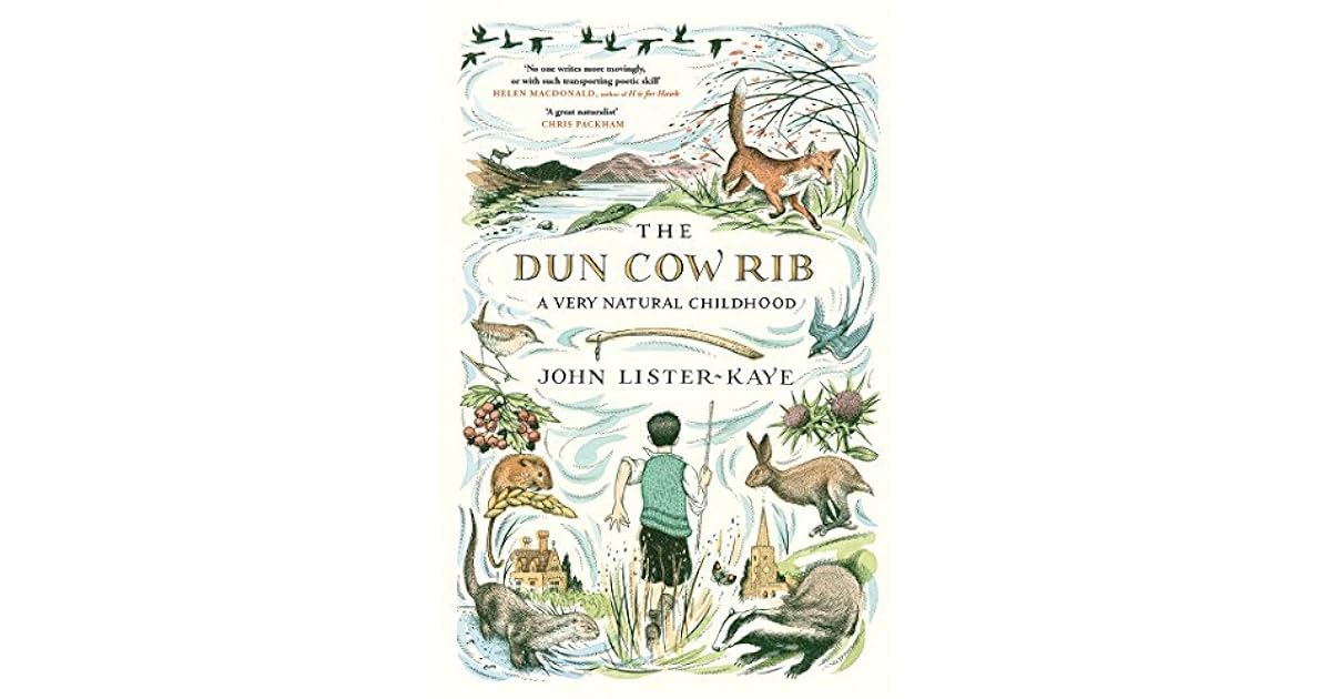 The Dun Cow Rib: A Very Natural Childhood by John Lister-Kaye
