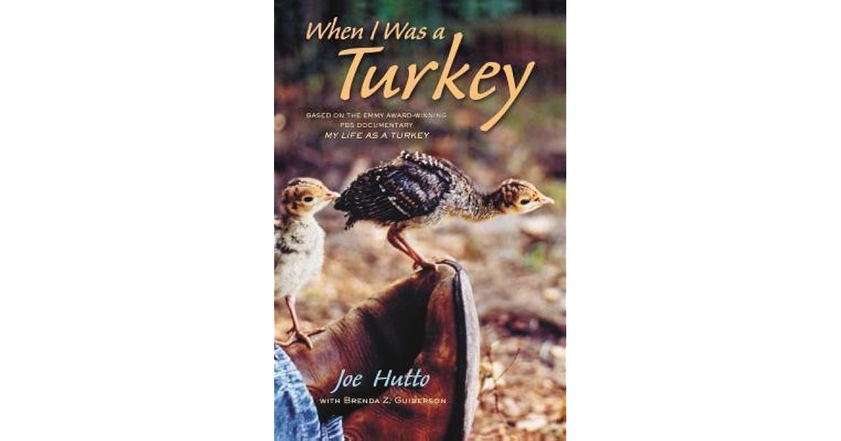 When I Was a Turkey by Joe Hutto
