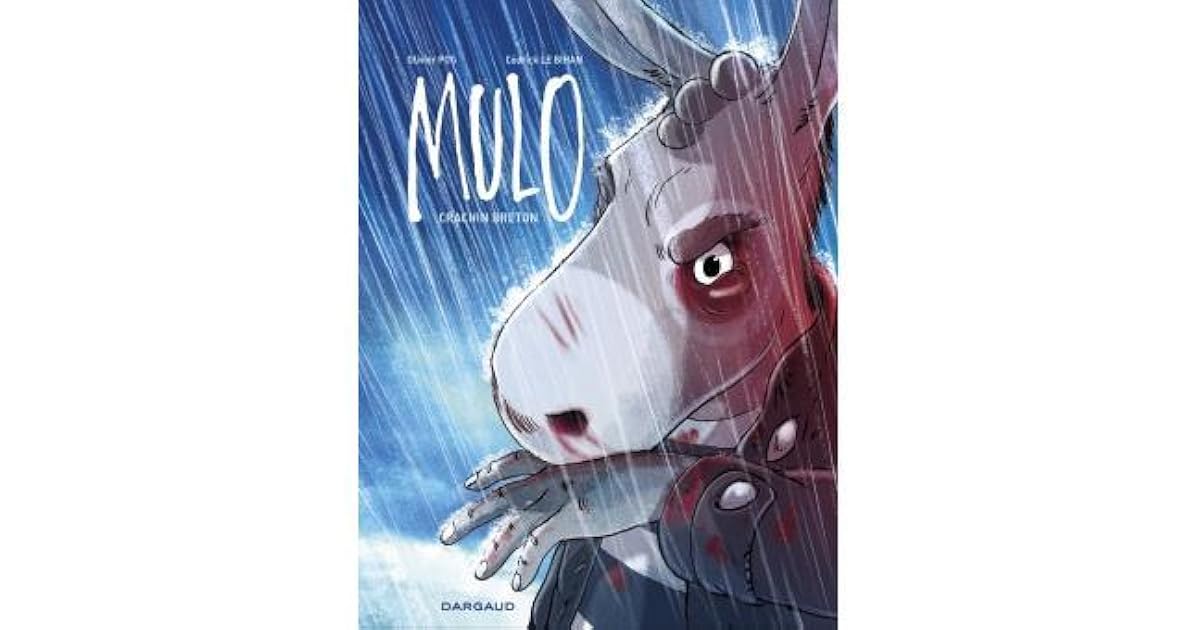 Crachin breton (Mulo #1) by Pog