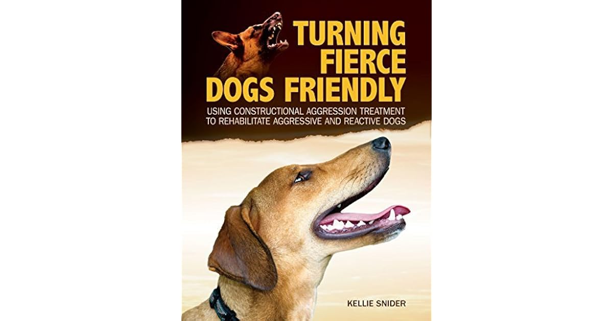 Turning Fierce Dogs Friendly: Using Constructional Aggression Treatment ...
