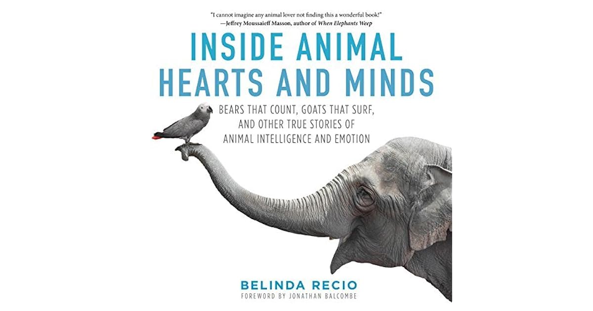 Inside Animal Hearts and Minds: Bears That Count, Goats That Surf, and ...