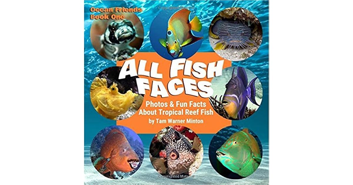 All Fish Faces: Photos and Fun Facts about Tropical Reef Fish by Tam ...