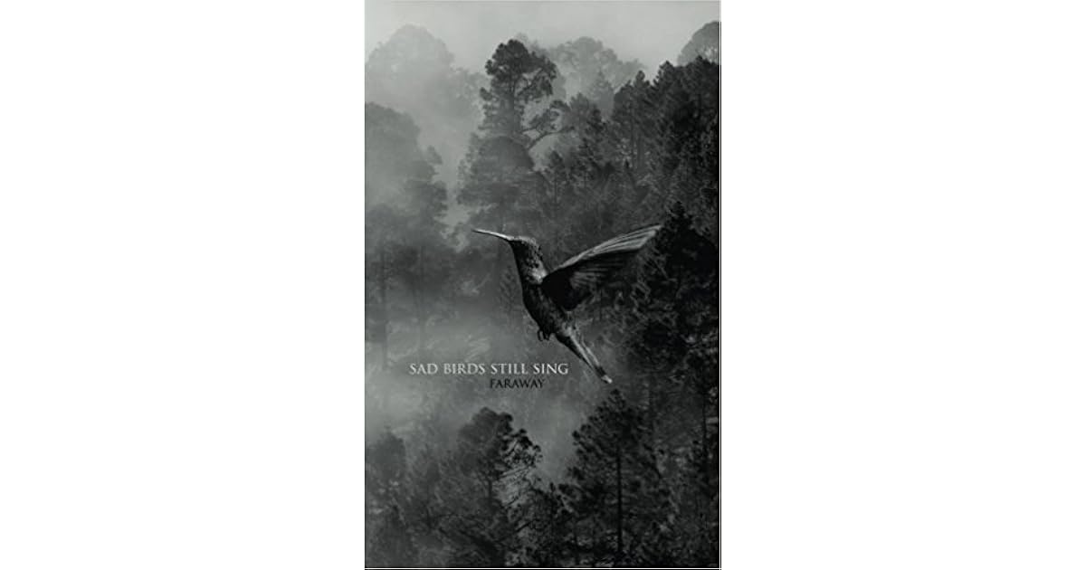 Sad Birds Still Sing by Faraway
