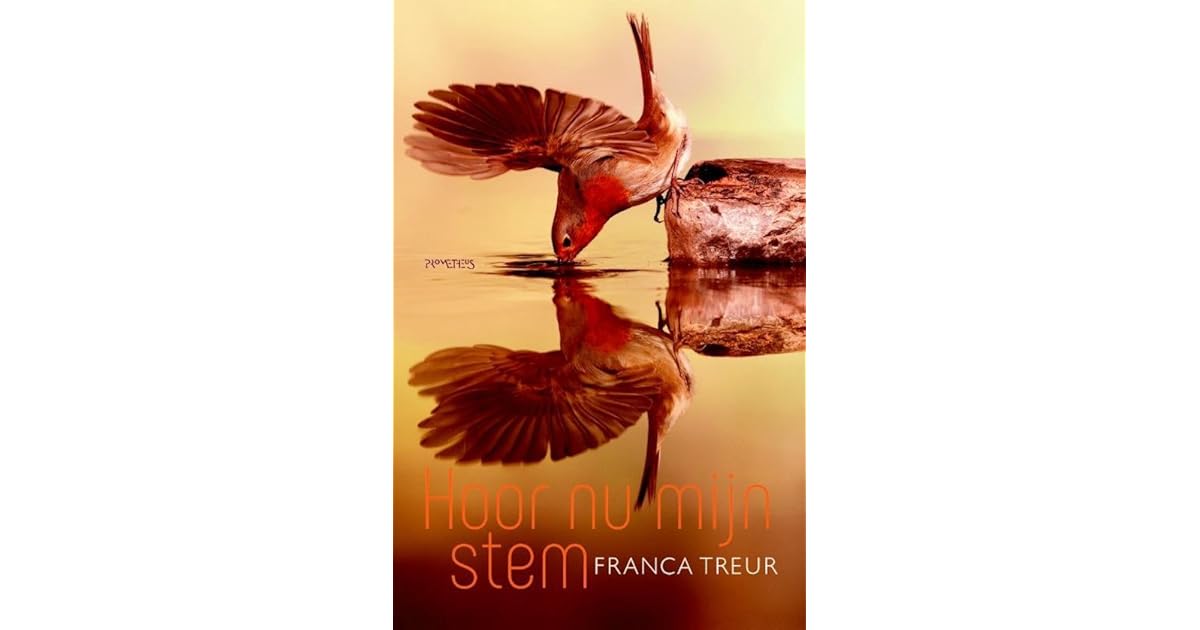 Hoor nu mijn stem by Franca Treur