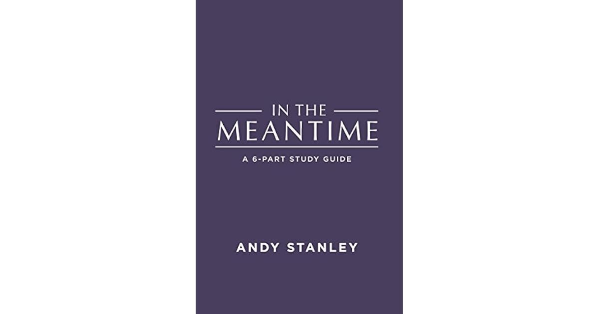 In the Meantime Study Guide by Andy Stanley