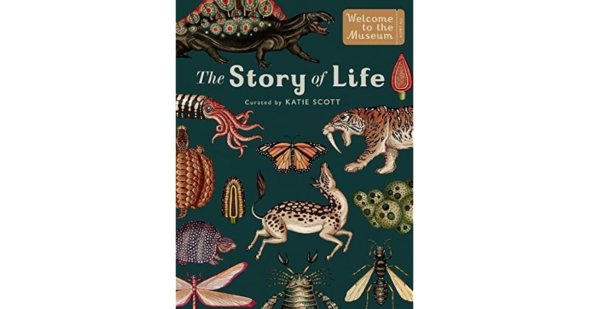 The Story of Life: Evolution by Katie Scott