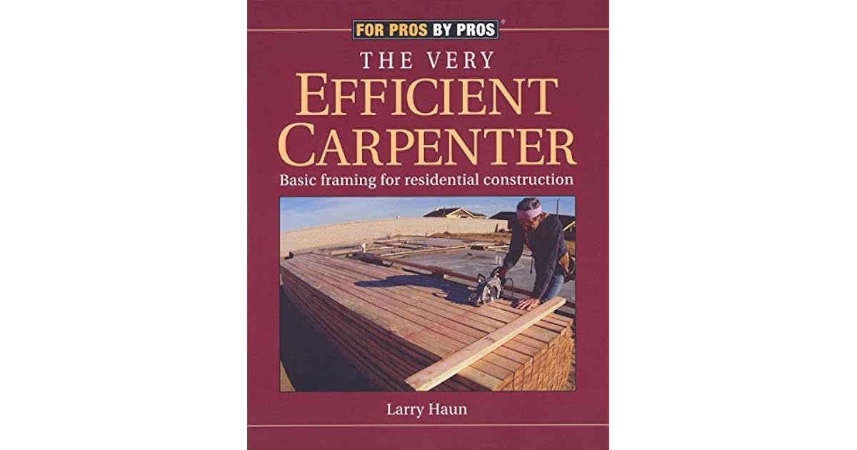 The Very Efficient Carpenter by Larry Haun