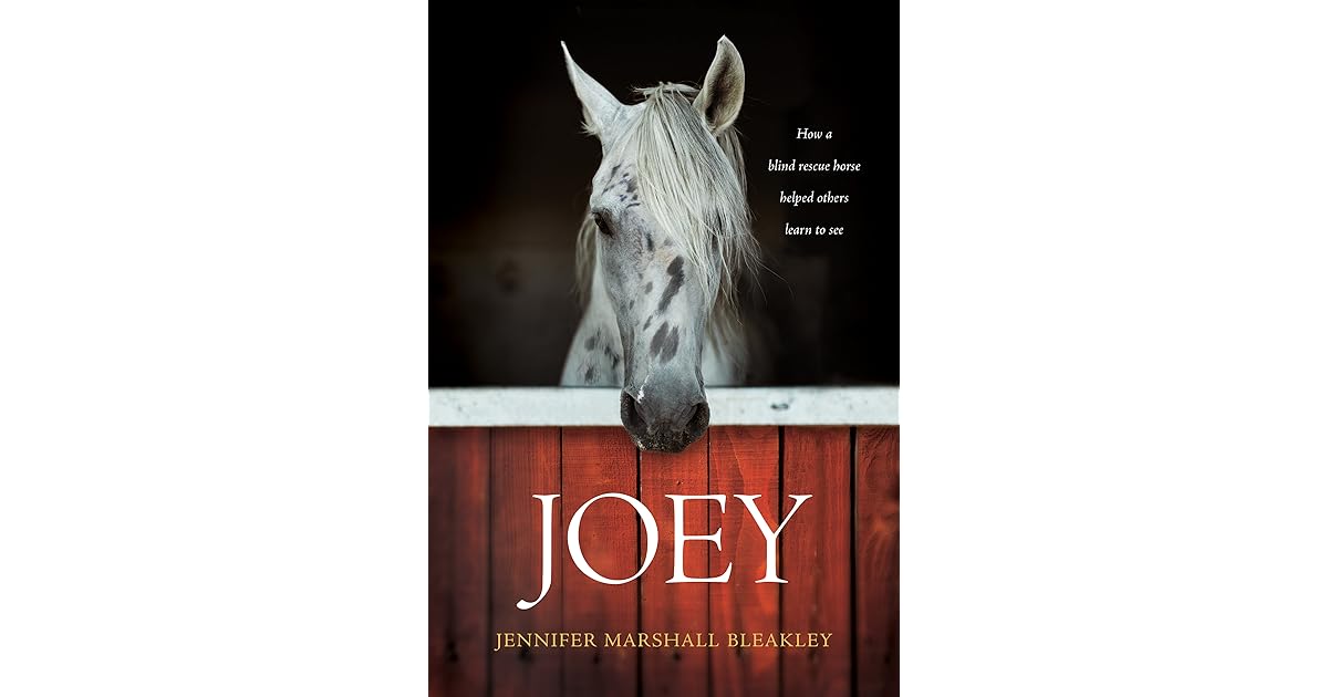 Joey: How a Blind Rescue Horse Helped Others Learn to See by Jennifer ...