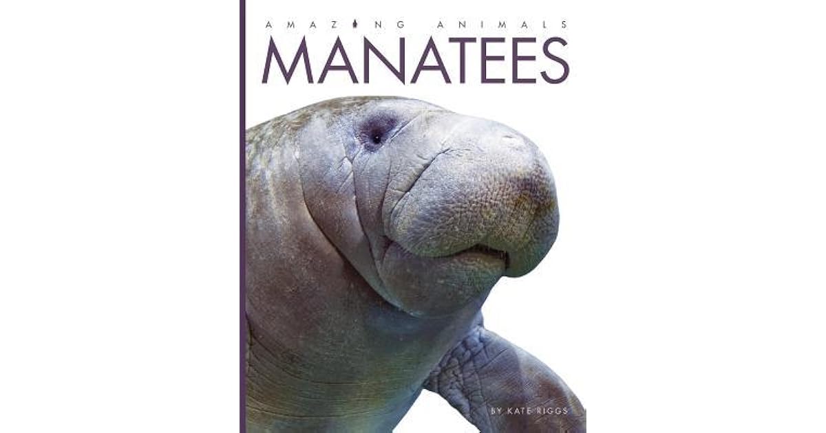 Manatees by Kate Riggs