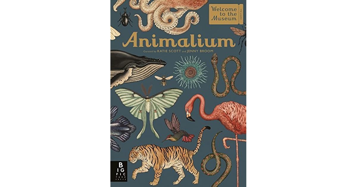 Animalium by Jenny Bloom