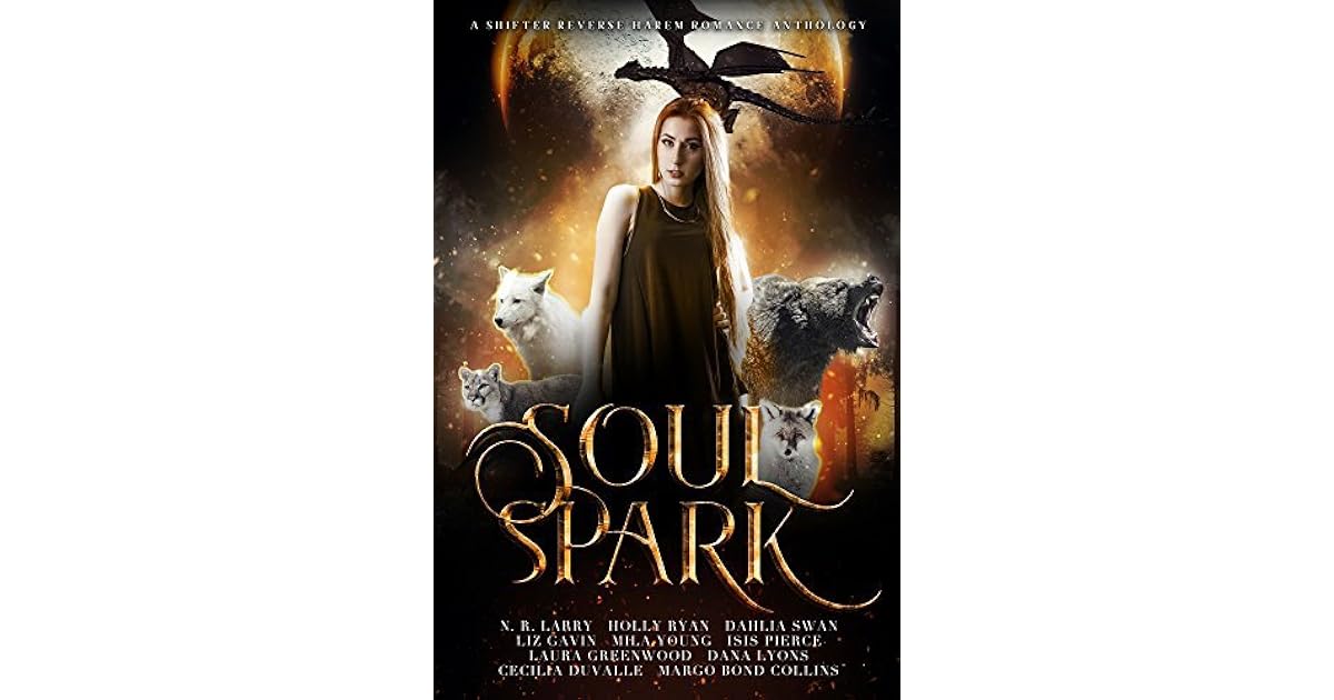 Soul Spark by N.R. Larry