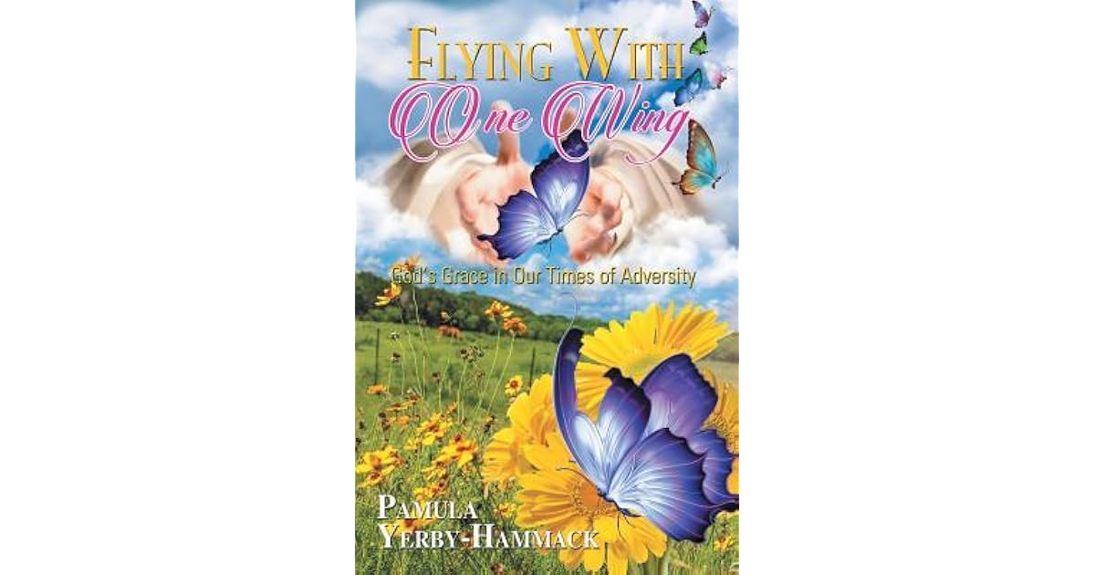 Flying with One Wing: God's Grace in Our Times of Adversity by Pamula ...