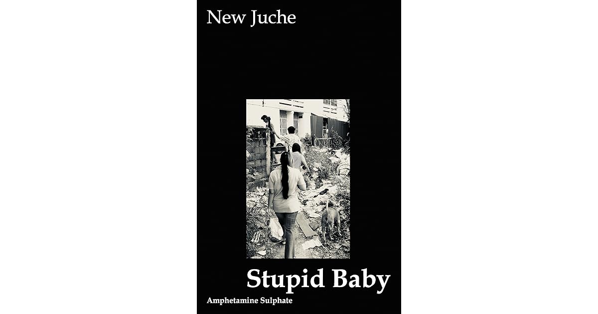 Stupid Baby by New Juche