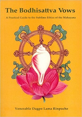 The Bodhisattva Vows: A Practical Guide to the Sublime Ethics of the Mahayana by Dagpo Lama Rinpoche