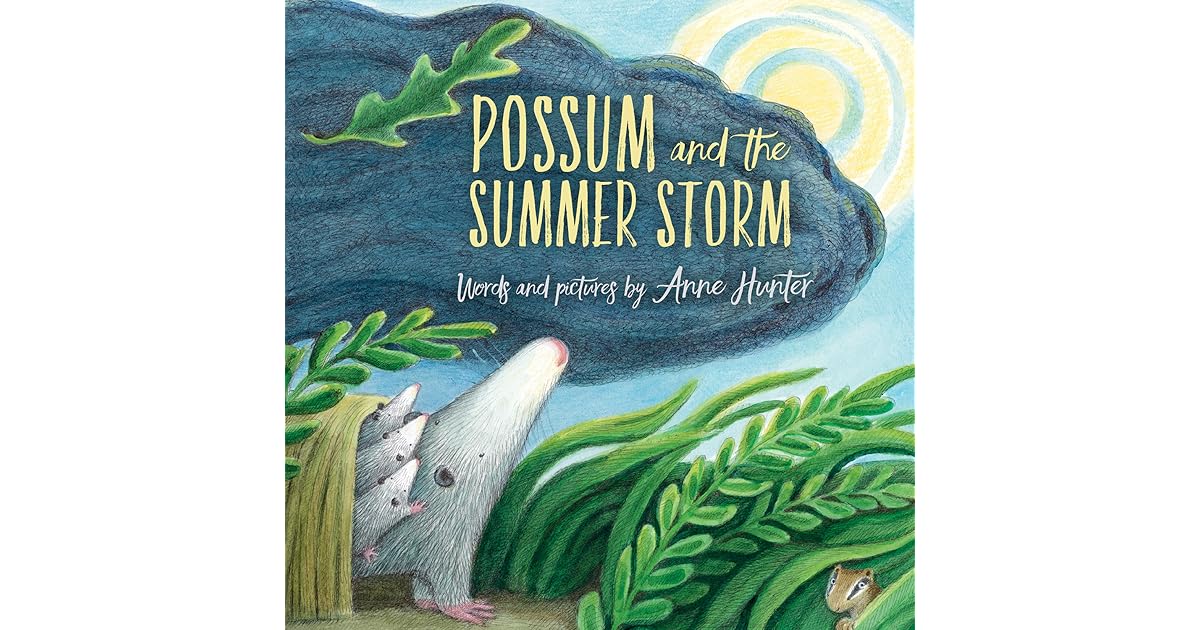 Possum and the Summer Storm by Anne Hunter