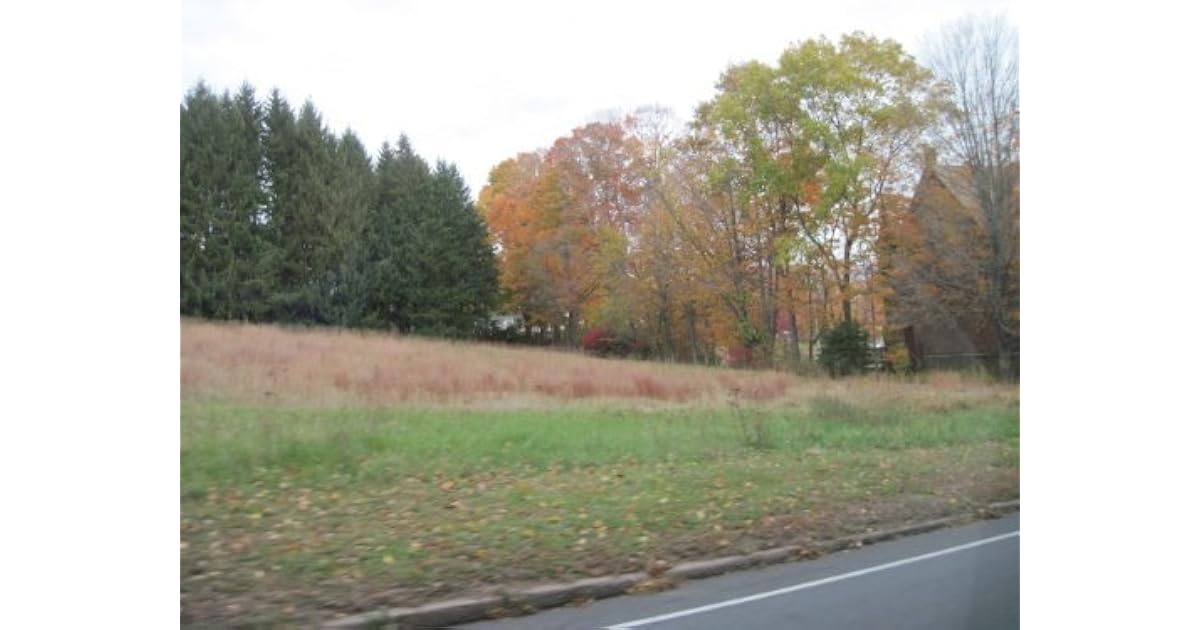 The Eyes of the Predator by Terry Hargrove