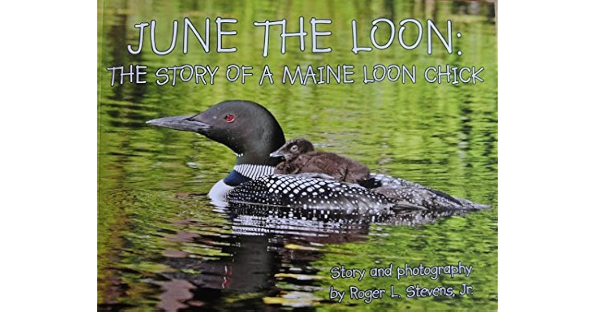 June the Loon:The Story of a Maine Loon Chick by Roger L. Stevens Jr.