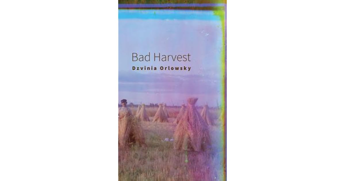 Bad Harvest by Dzvinia Orlowsky